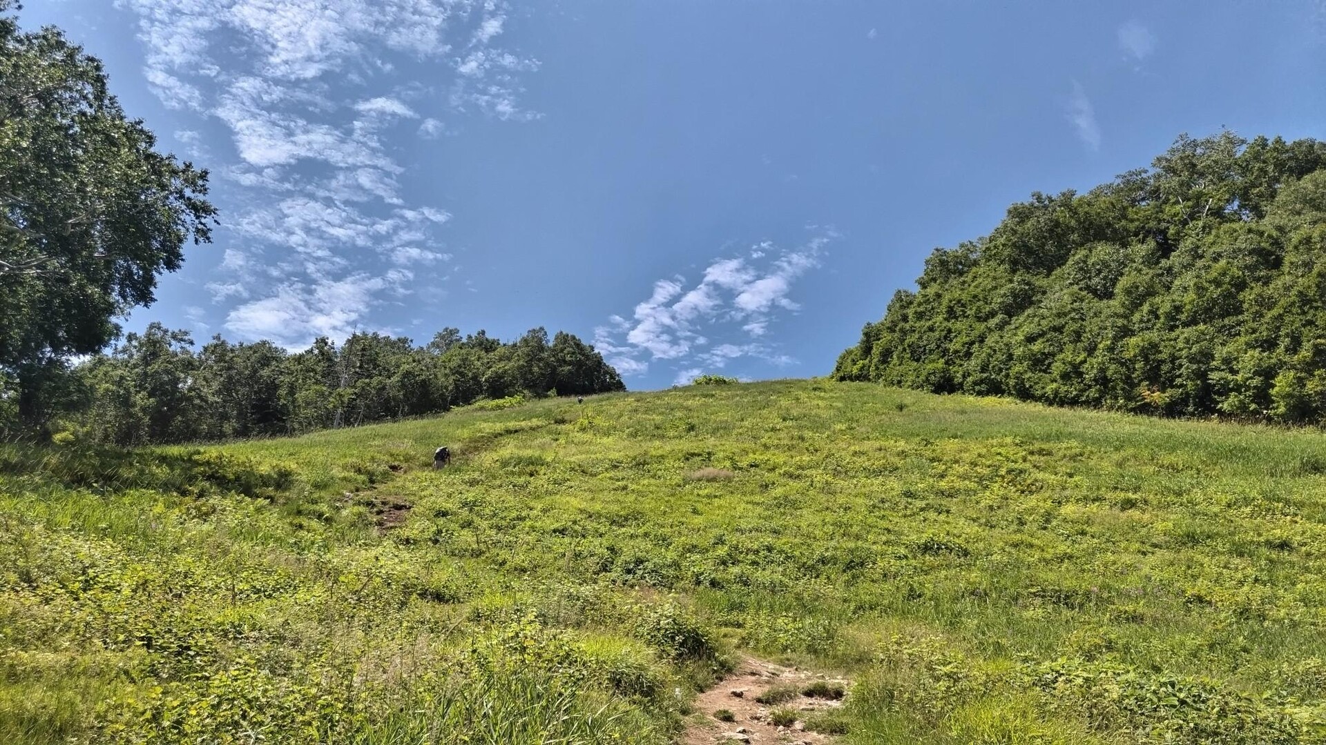 手稲山 / chimaruさんの手稲山・奥手稲山の活動データ | YAMAP / ヤマップ