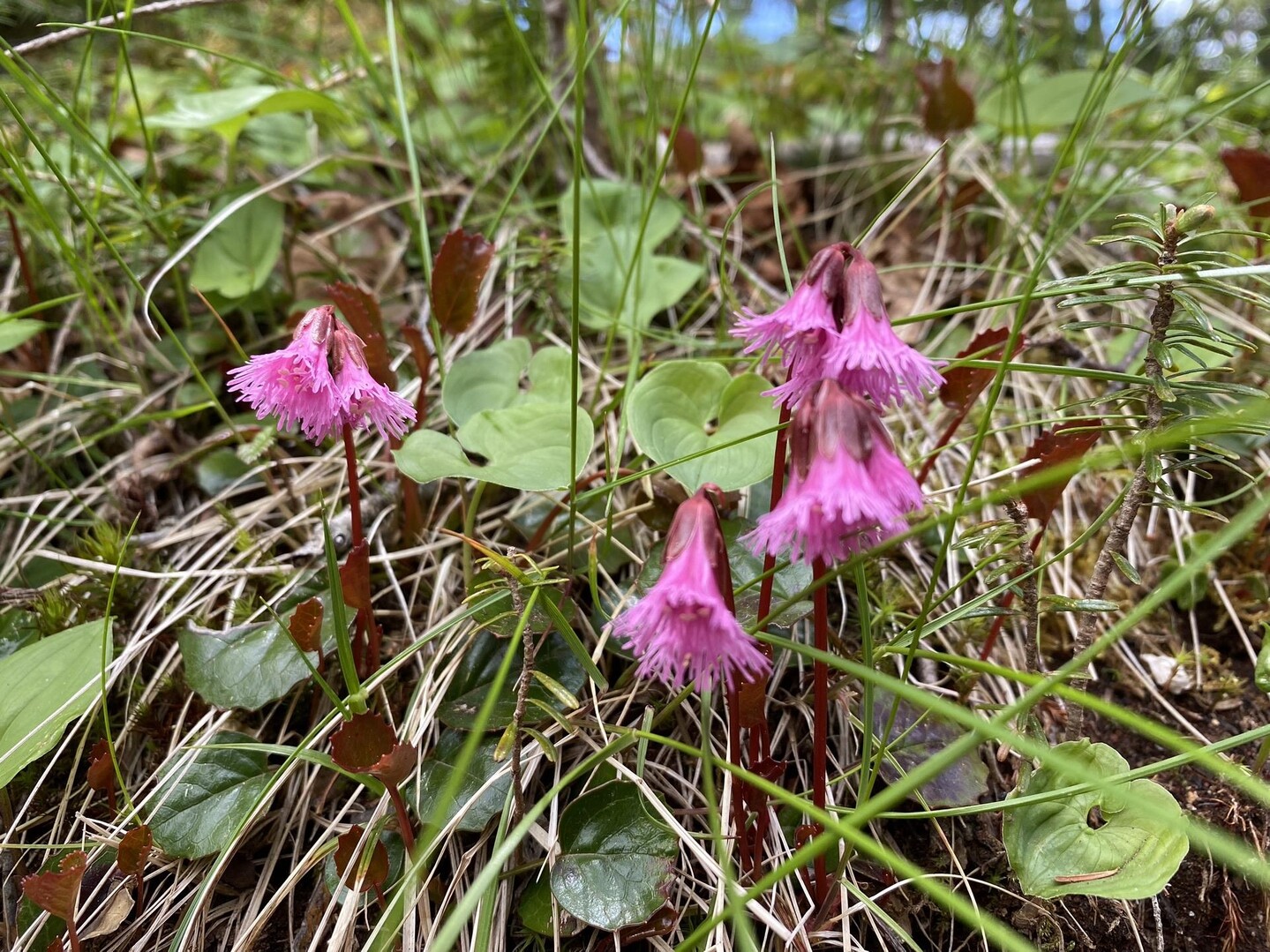 男体山 / tutuさんの男体山の活動データ | YAMAP / ヤマップ