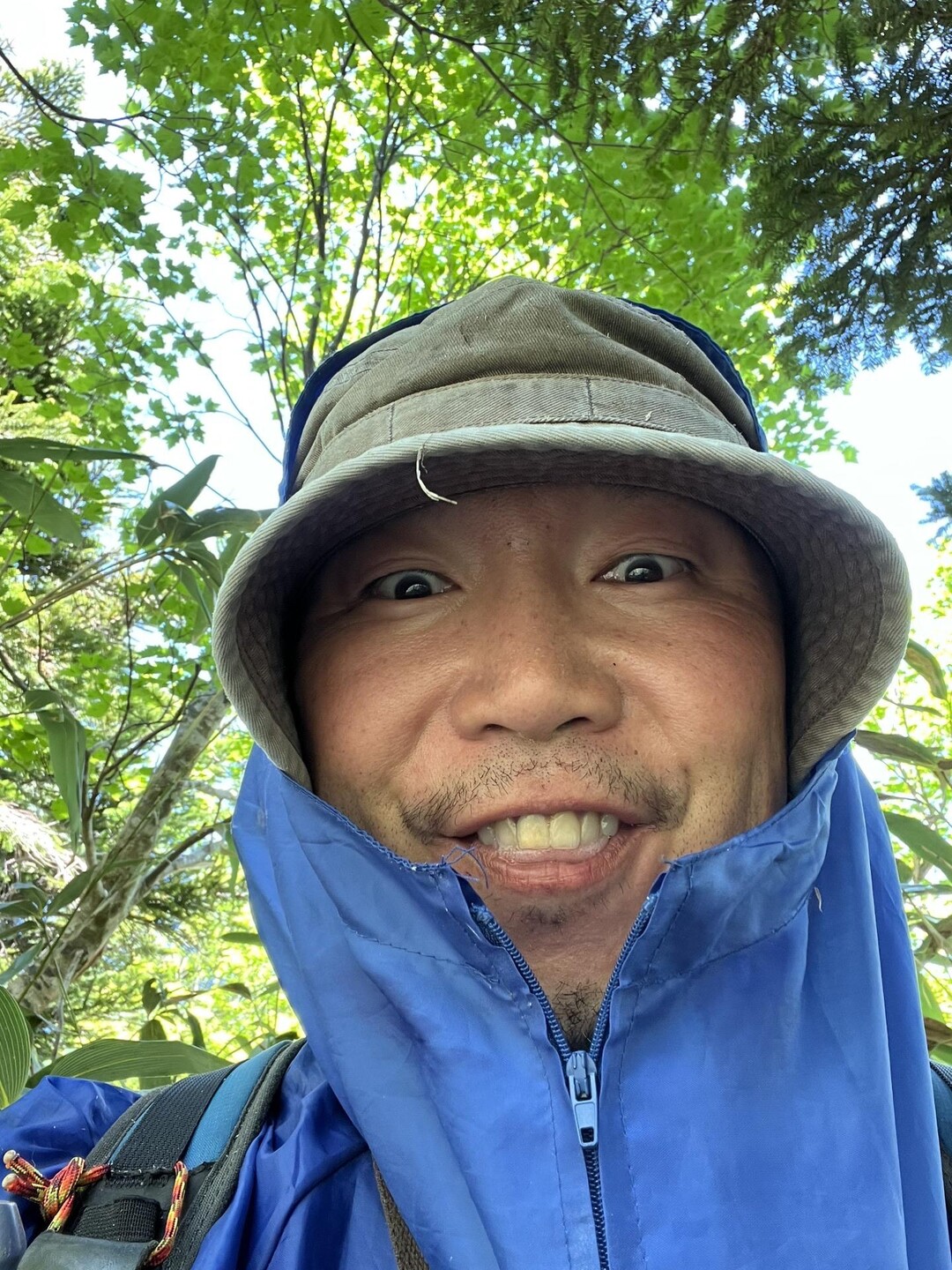 ﾀｹﾉｺﾊﾝﾄ😎ｼ-ｽﾞﾝ ｱｳﾄ 06-20 / SHOさんの八甲田山・高田大岳・雛岳の活動データ | YAMAP / ヤマップ