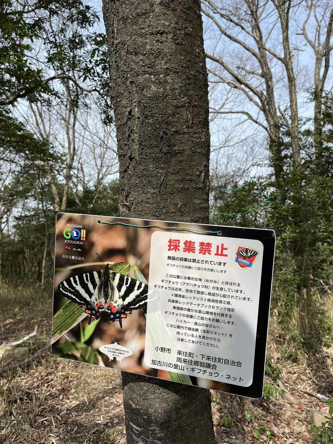 高山・前山・愛宕山・安場山 / pon-pokoさんの小野アルプス（紅山・惣山）の活動データ | YAMAP / ヤマップ