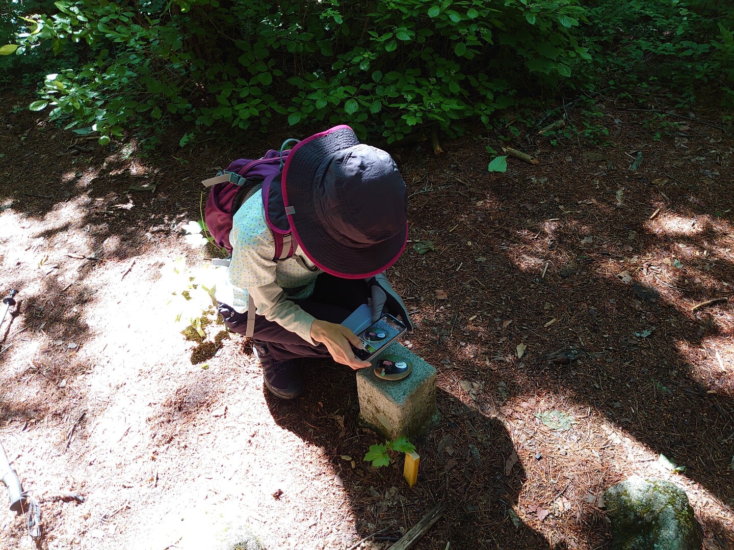 散歩 DE 網掛山【愛妻と】 / kontomoさんの網掛山の活動データ | YAMAP / ヤマップ