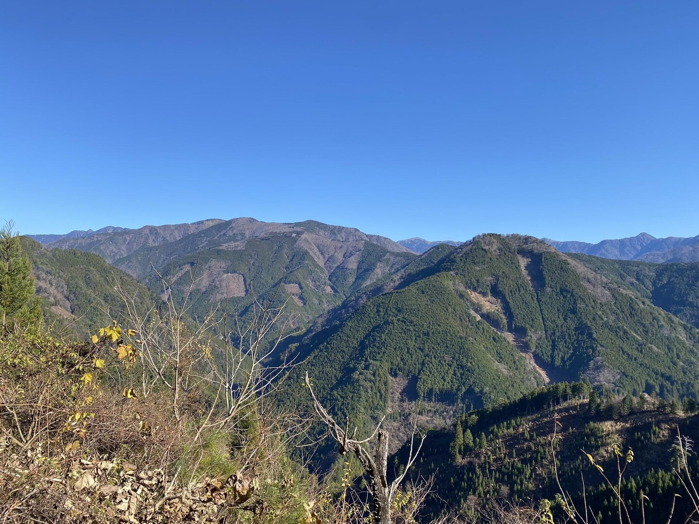 中根山、青薙山、大沢山、堀切峠、矢落峠、大ヌタ山【水窪79/100】 / SuzY^^YanOさんの熊伏山・観音山の活動データ | YAMAP / ヤマップ