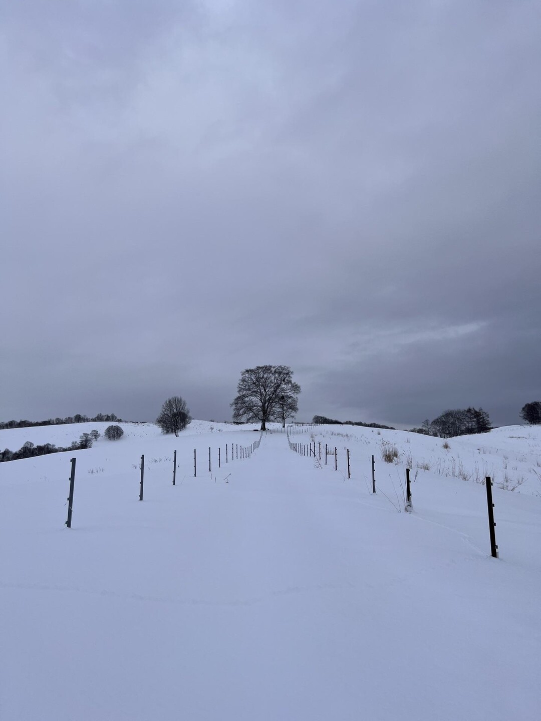 丸加山 / FUM!さんの音江山・沖里河山の活動データ | YAMAP / ヤマップ