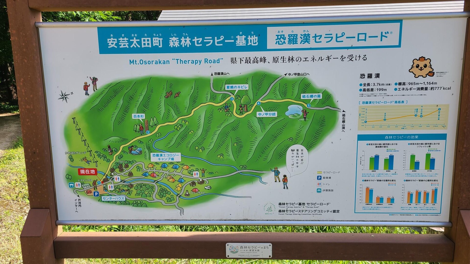 恐羅漢山系セラピートレイル⛰️ / satochan🥾さんの恐羅漢山の活動日記 | YAMAP / ヤマップ