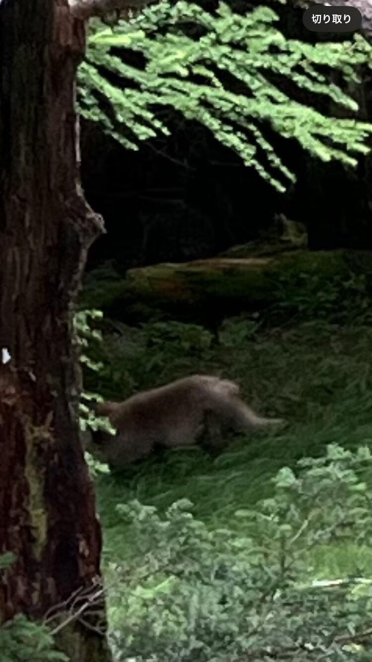 男体山縦走 / motoh698さんの男体山の活動データ | YAMAP / ヤマップ