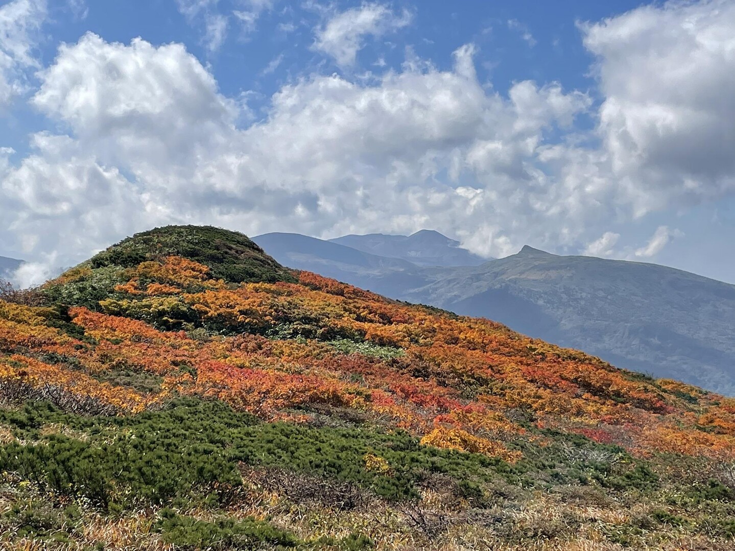どうしても見たかった三ツ石山紅葉🍁 / Hachi_Sukeさんの三ッ石山・大深岳・諸桧岳の活動データ | YAMAP / ヤマップ