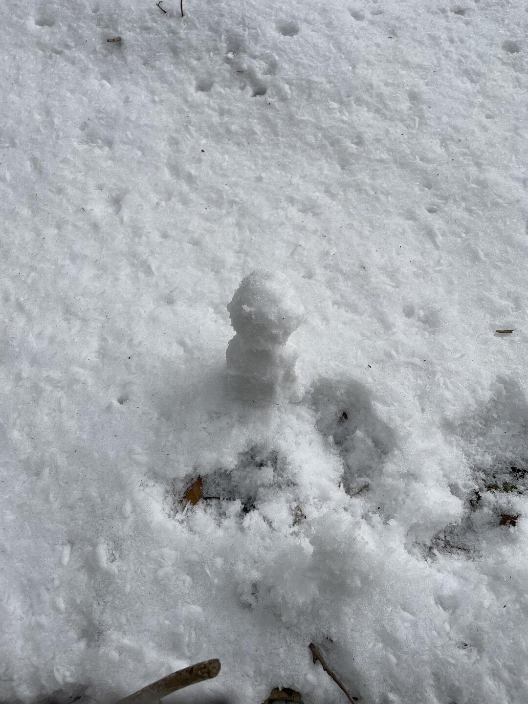 冬の金剛山② / yossyさんの金剛山・二上山・大和葛城山の活動データ | YAMAP / ヤマップ