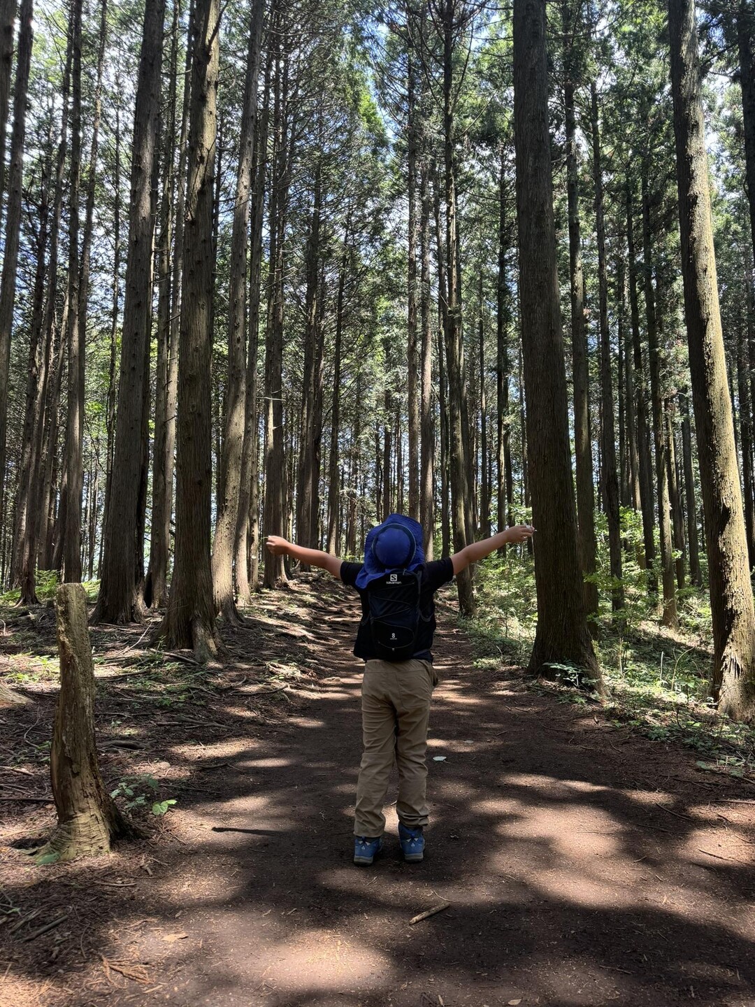 7歳と 陣馬山〜高尾山縦走 / soyoさんの高尾山・陣馬山・景信山の活動データ | YAMAP / ヤマップ