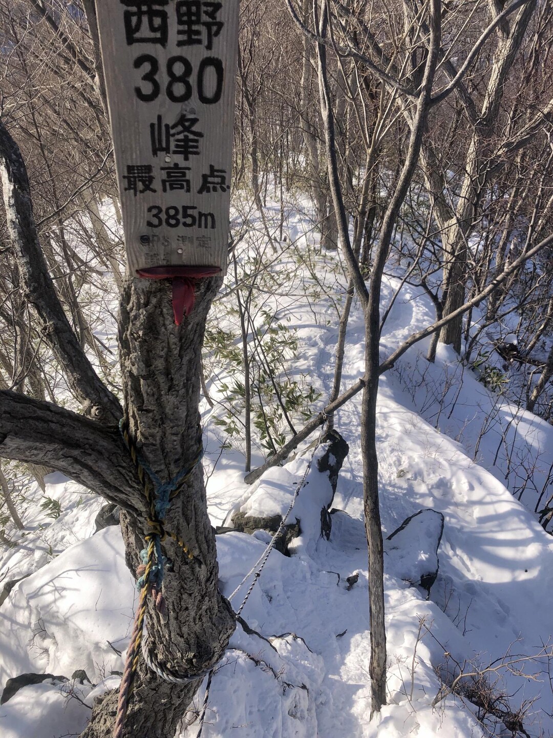 251峰・西野380峰初 / TKCさんの手稲山・奥手稲山の活動データ | YAMAP / ヤマップ