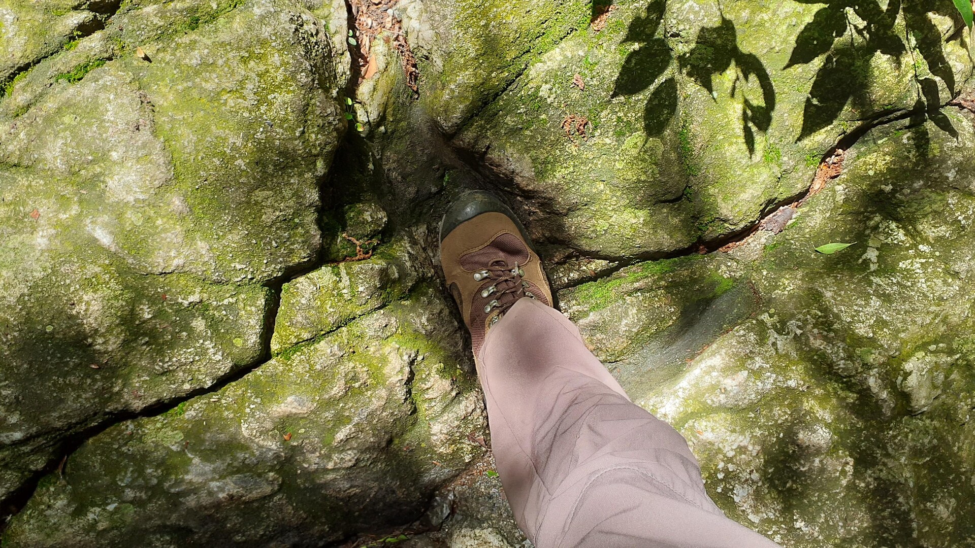 本宮山 R6-4 / 北鷹さんの本宮山・大日山・風頭山の活動データ | YAMAP / ヤマップ