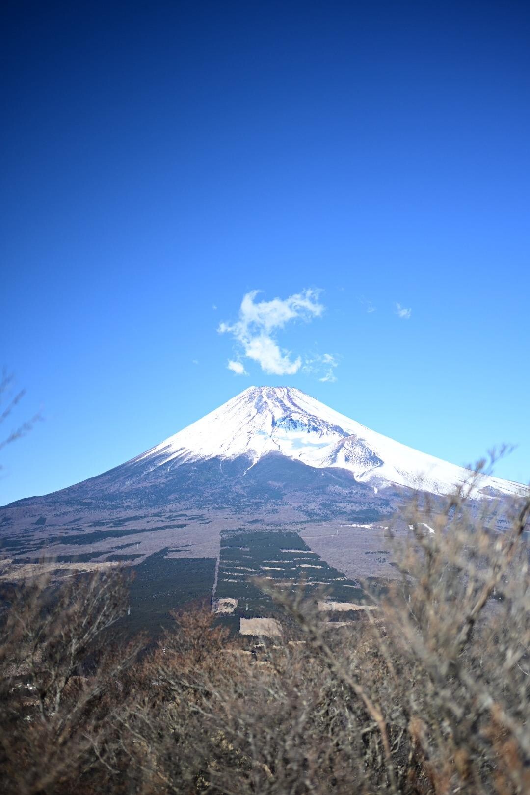 越前岳 / おーさんのFUJISAN LONG TRAIL（愛鷹・富士南麓エリア SOUTH）の活動データ | YAMAP / ヤマップ