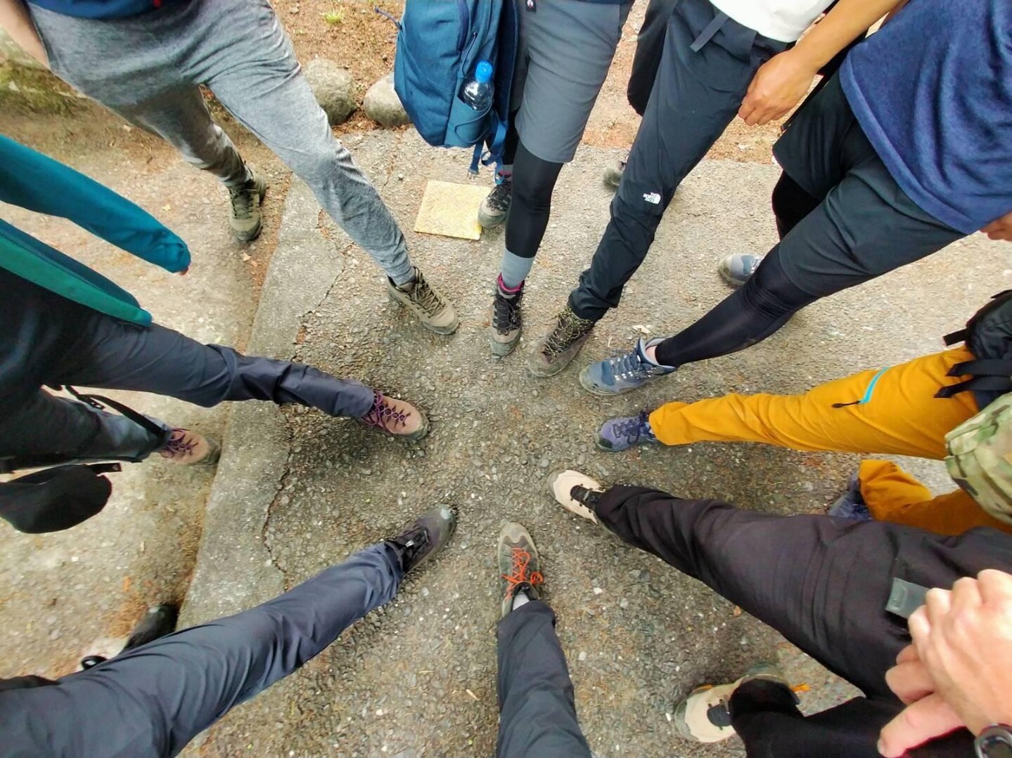 川苔山へグループ登山 / ken-sukeさんの川苔山（川乗山）の活動データ | YAMAP / ヤマップ