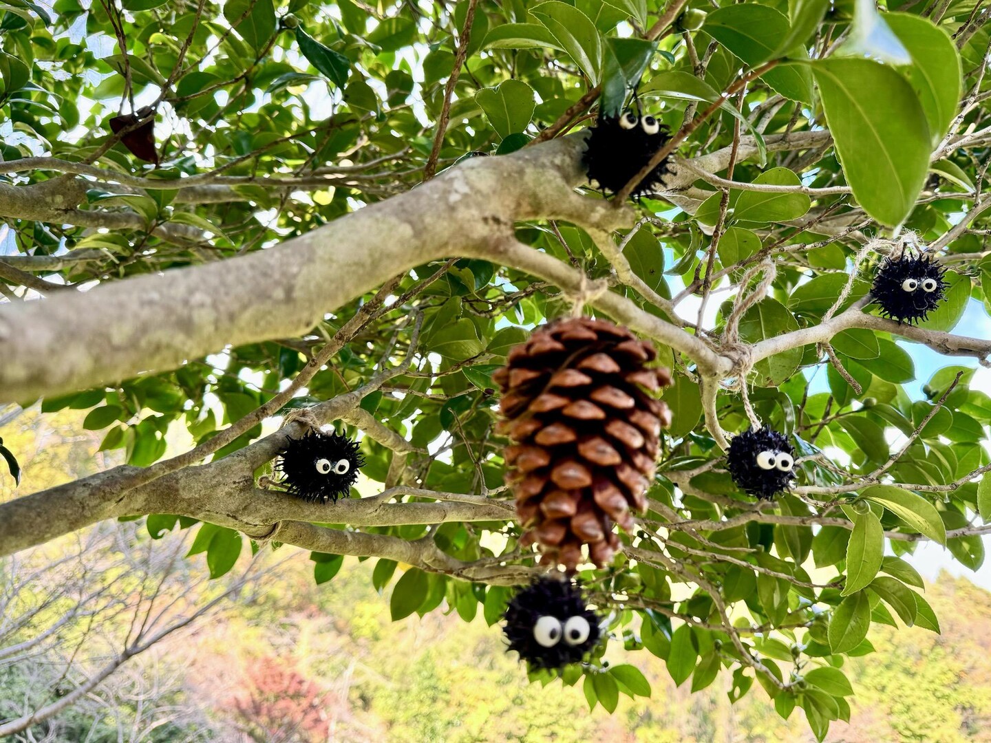 👀まっくろくろすけ 出ておいで〜👀 / emiyさんの生駒山・神津嶽・大原山の活動データ | YAMAP / ヤマップ