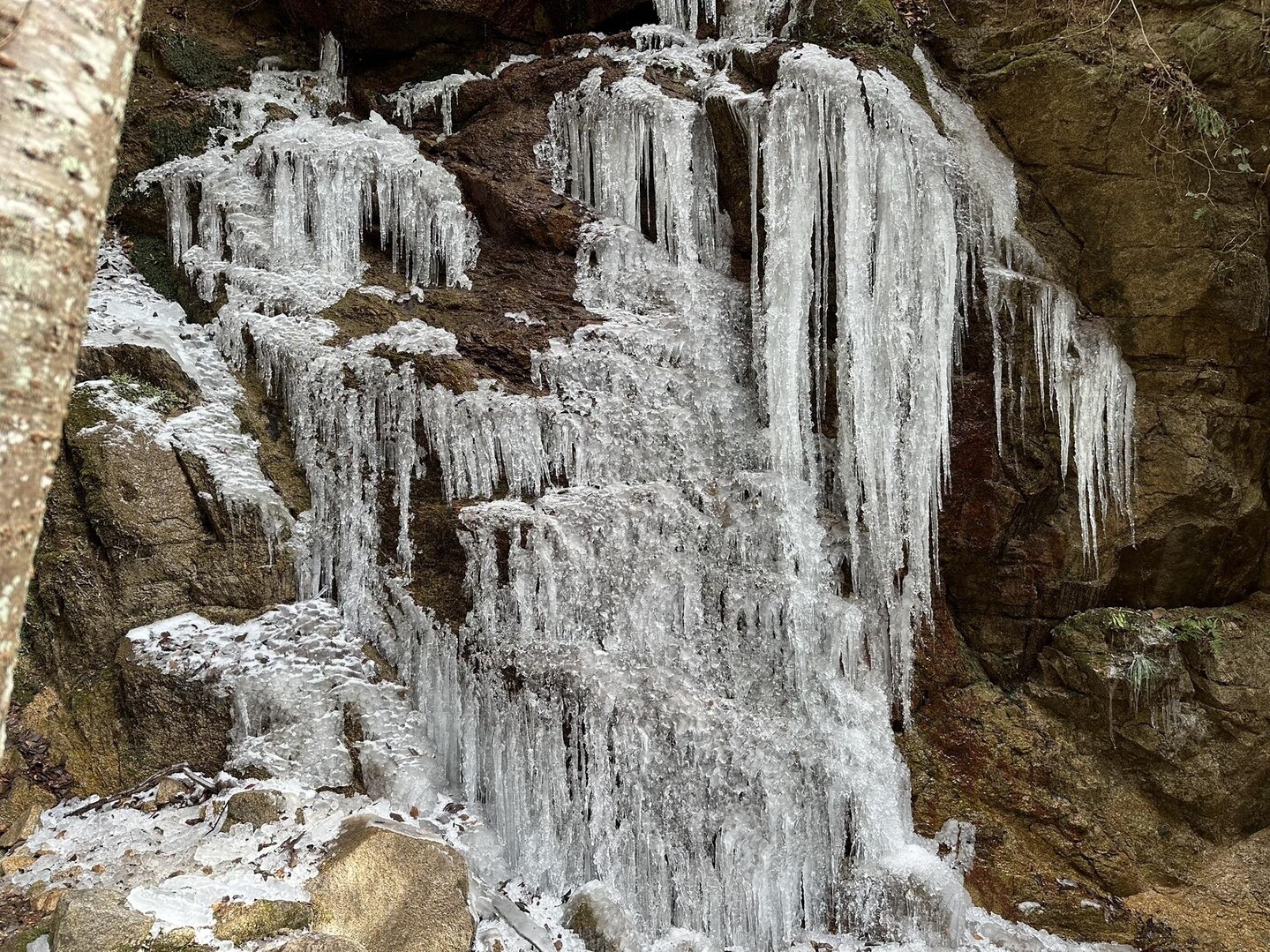 六甲で氷瀑見物 / daiksyさんの六甲山・長峰山・摩耶山の活動データ | YAMAP / ヤマップ