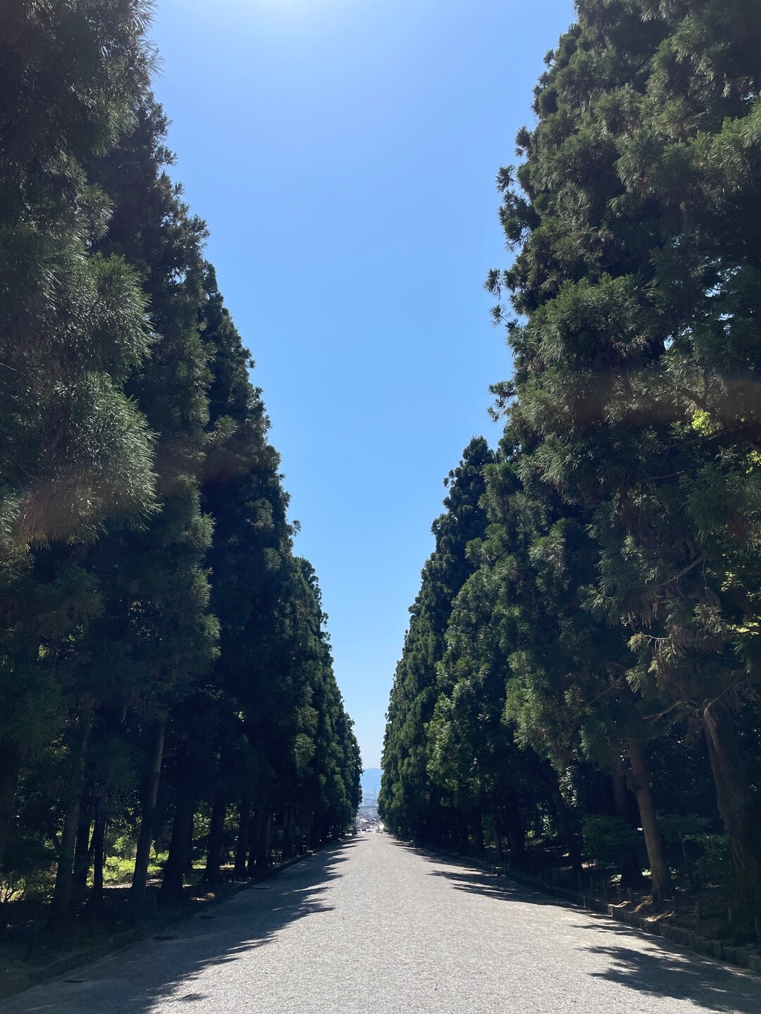 2022.05.05(木) 10:05 / Mさんのモーメント | YAMAP / ヤマップ