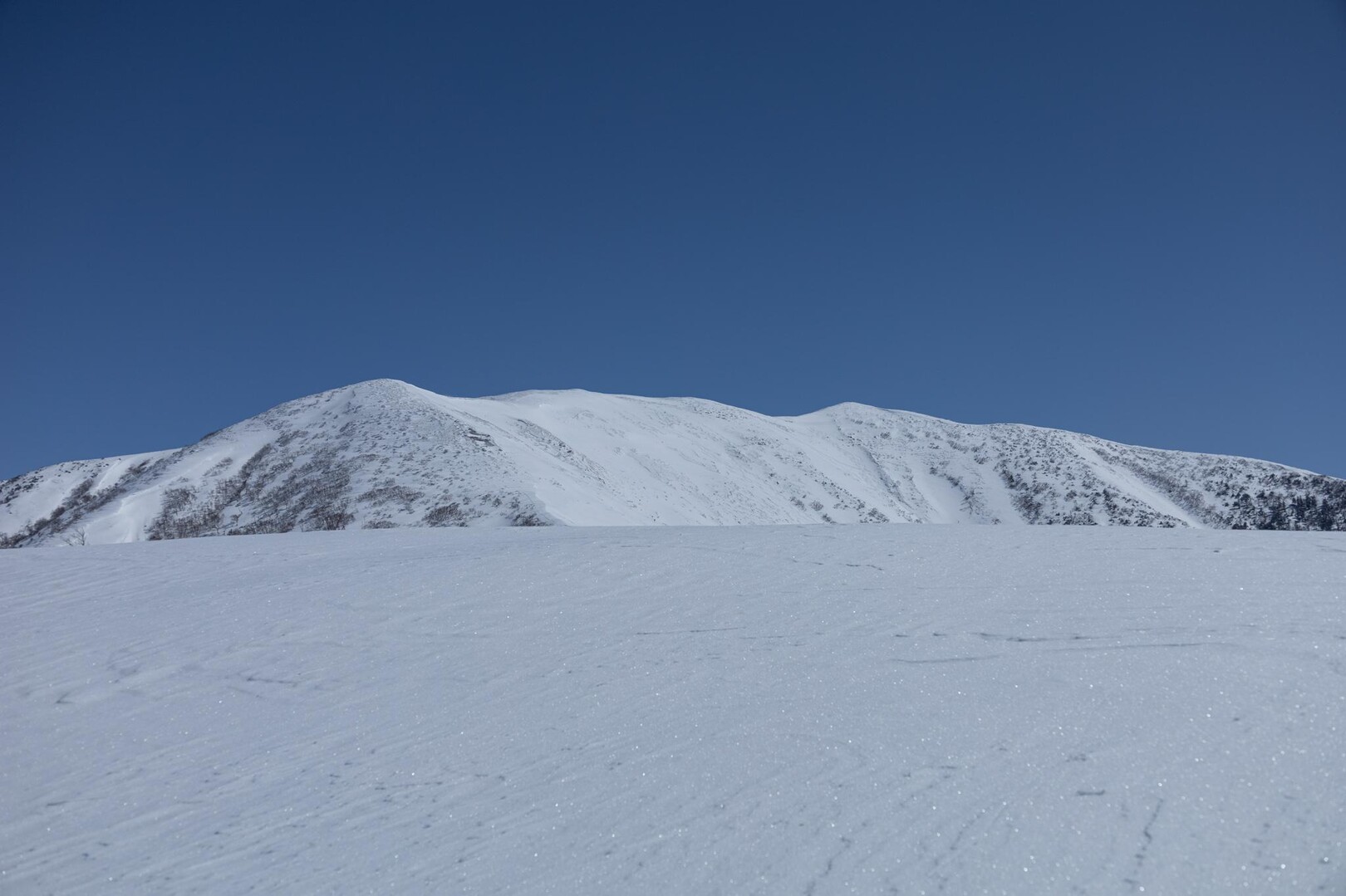 HPゼロで撤退@平標山 / maverickさんの仙ノ倉山・平標山・大源太山の活動日記 | YAMAP / ヤマップ