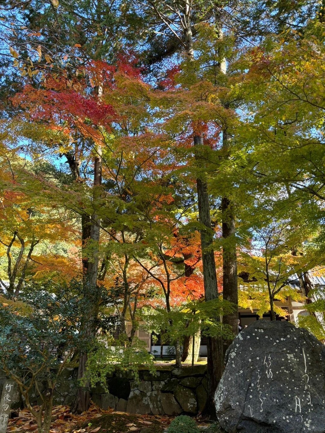 紅葉を求めて行きましたが、今年は驚くほど... / toshiさんのモーメント | YAMAP / ヤマップ