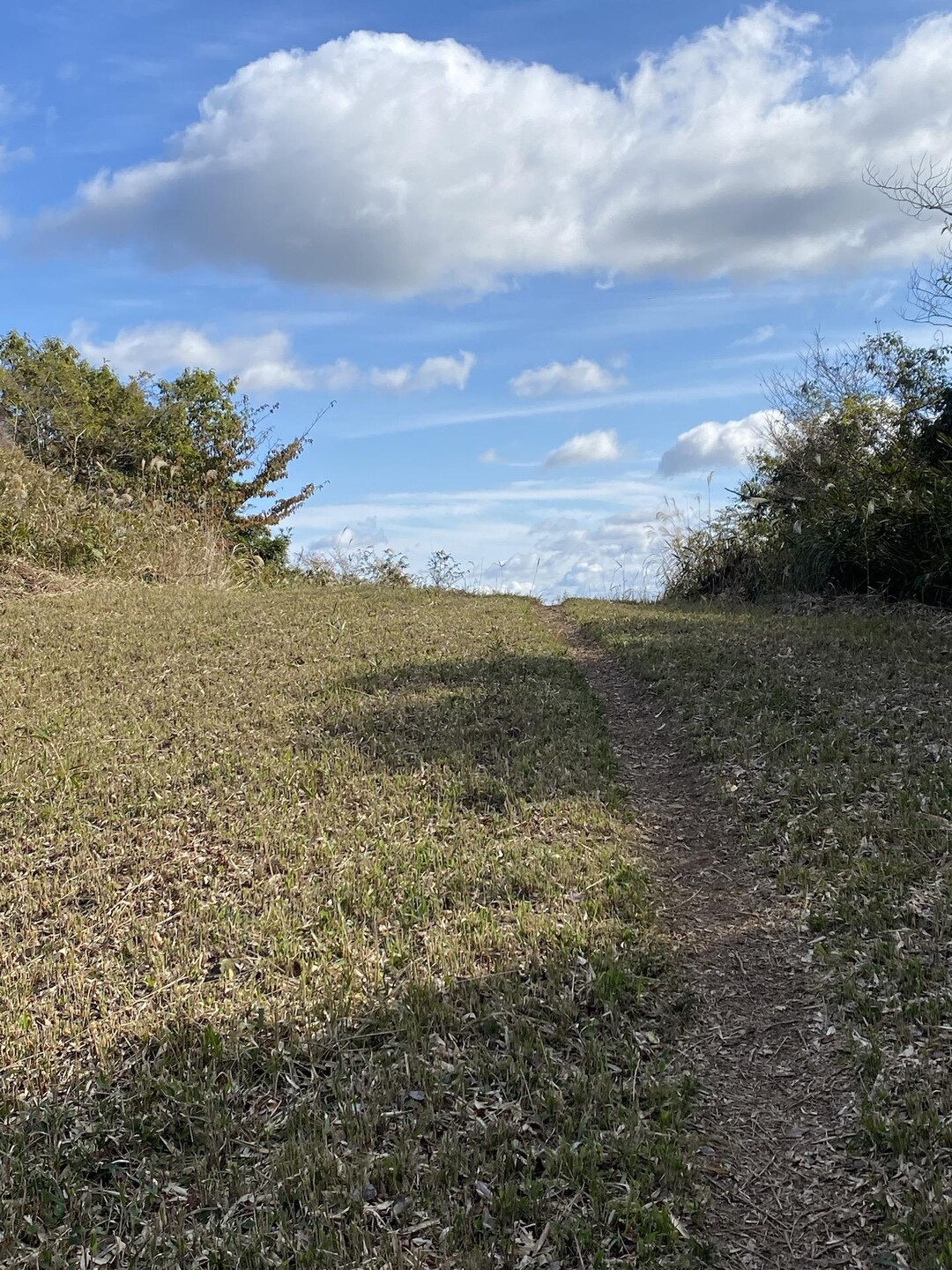 香春10山スタンプラリー / HIRO-Gさんの福智山・尺岳・雲取山の活動データ | YAMAP / ヤマップ