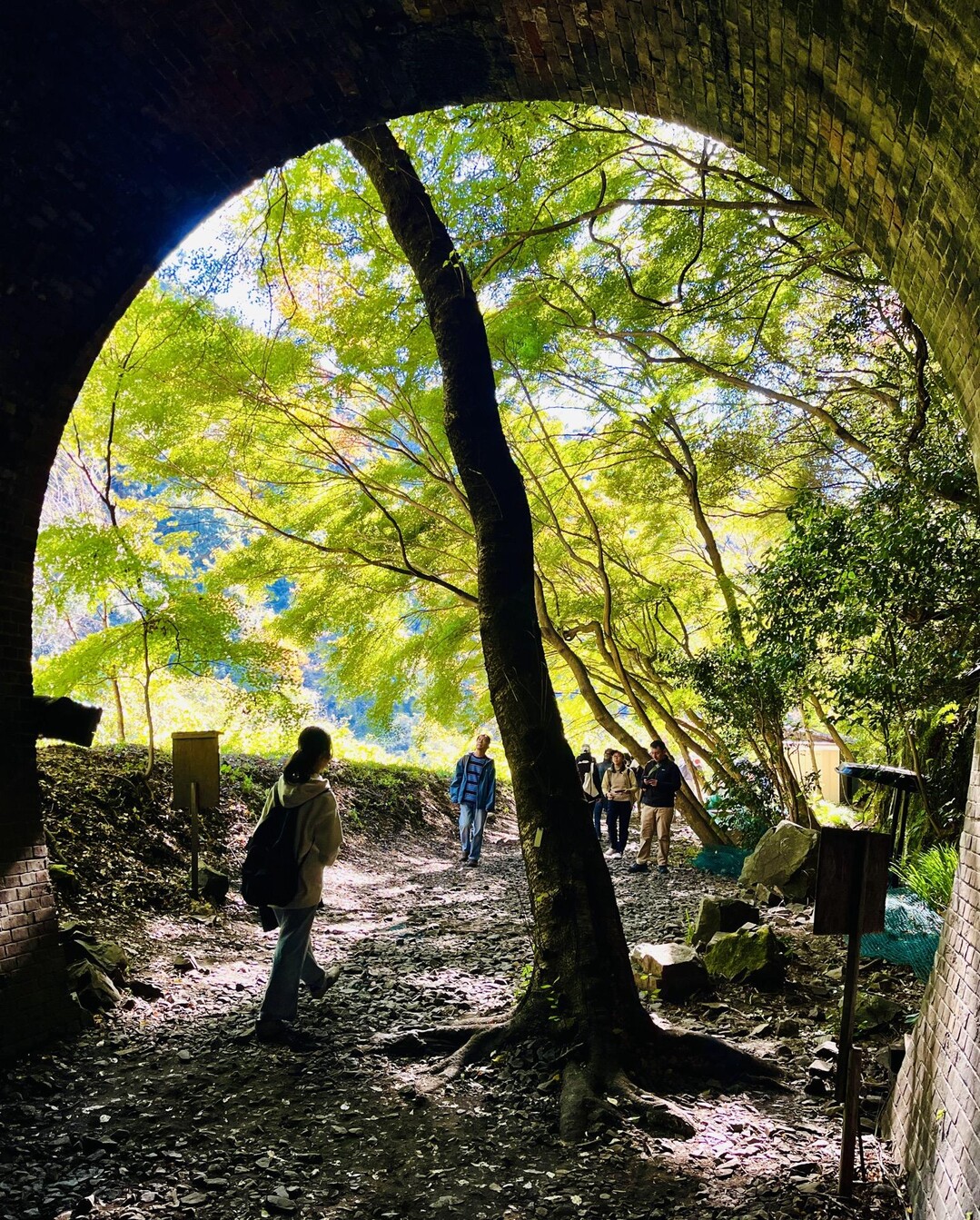 愛岐トンネル群 秋の特別公開紅葉散歩2024-11-24 / mari.komakusaさんのウォーキングの活動データ | YAMAP / ヤマップ