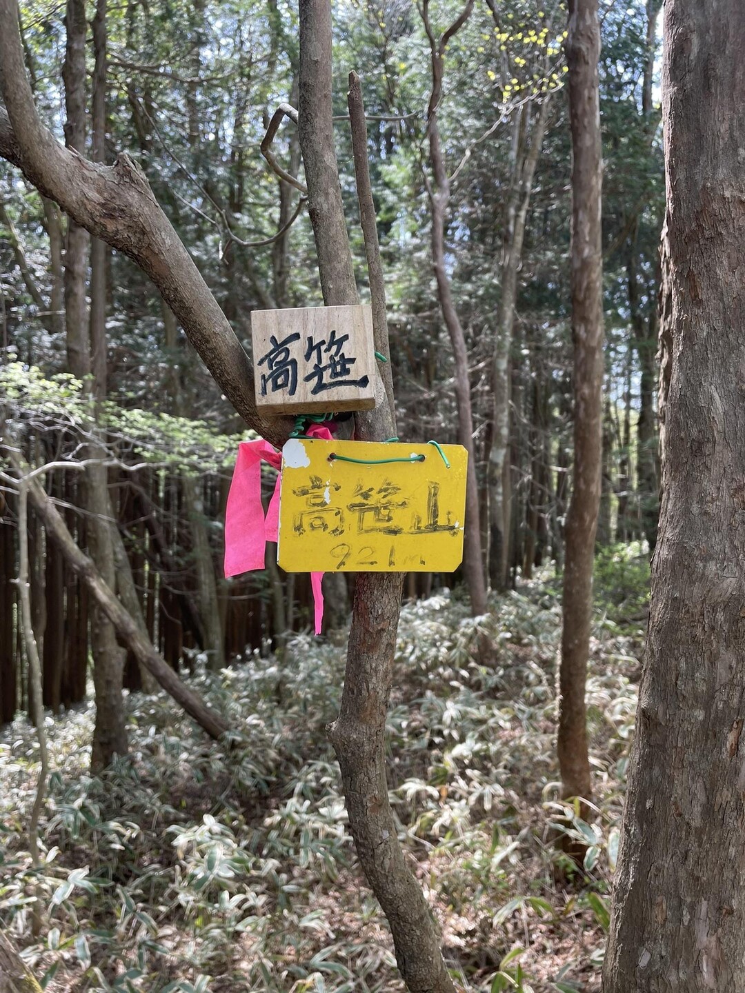 大神宮山・高笹山 / tana_shuさんの八溝山・池ノ平の活動データ | YAMAP / ヤマップ
