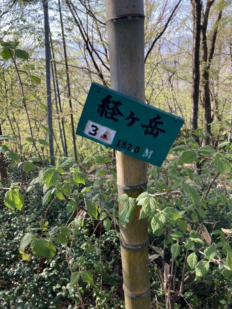 経ヶ岳（鯖江市） / TADY.さんの城山・経ヶ岳・天神山の活動データ | YAMAP / ヤマップ