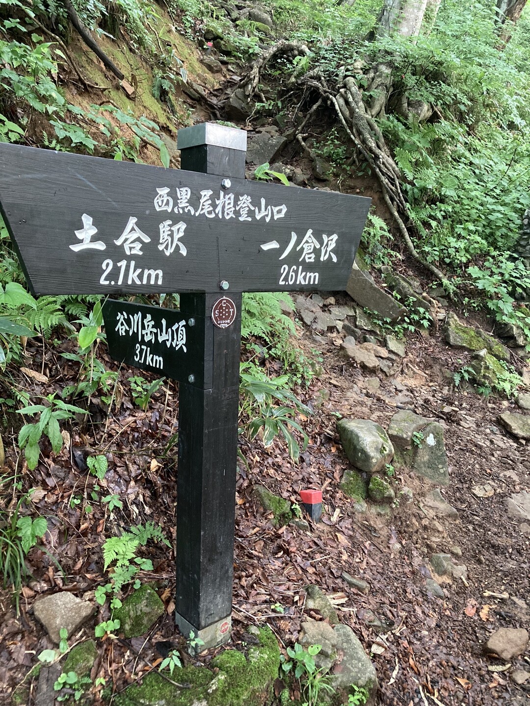 谷川岳・西黒尾根→ロープウェイで帰り / Ga-Moroさんの谷川岳・七ツ小屋山・大源太山の活動データ | YAMAP / ヤマップ
