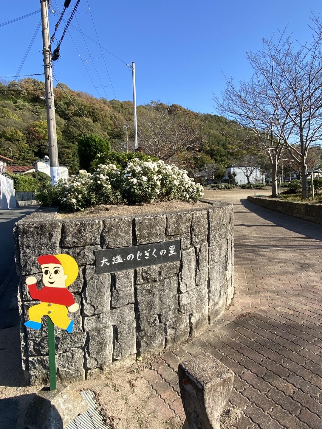 今年のノジギクの開花は⁉️日笠山・北山・大北山・下山・赤山・六本松山 / やまっち🌿さんの高御位山・播磨アルプスの活動データ | YAMAP / ヤマップ