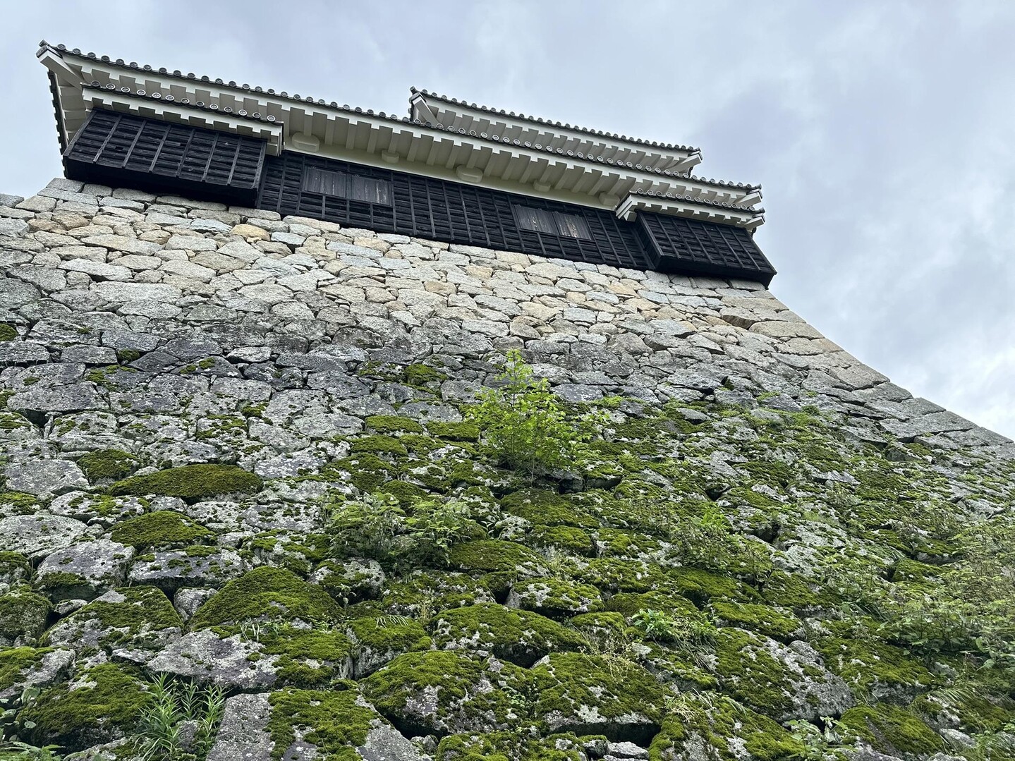 四国遠征の前泊で松山観光。松山は仕事で何... / cocoさんのモーメント | YAMAP / ヤマップ