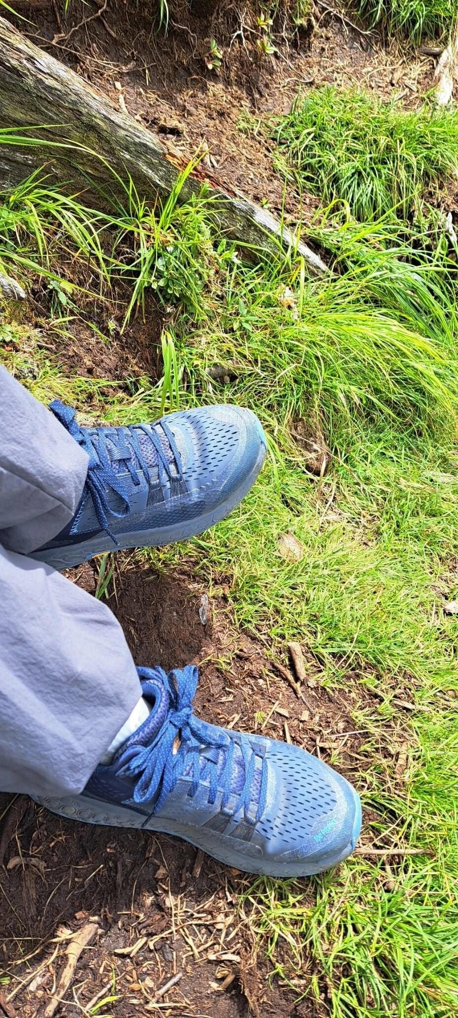 新たな仲間セカンドシューズ NB フレッ... / N-saruさんのモーメント | YAMAP / ヤマップ