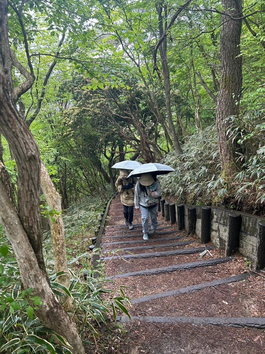 六甲山 / HARUさんの六甲山・長峰山・摩耶山の活動データ | YAMAP / ヤマップ