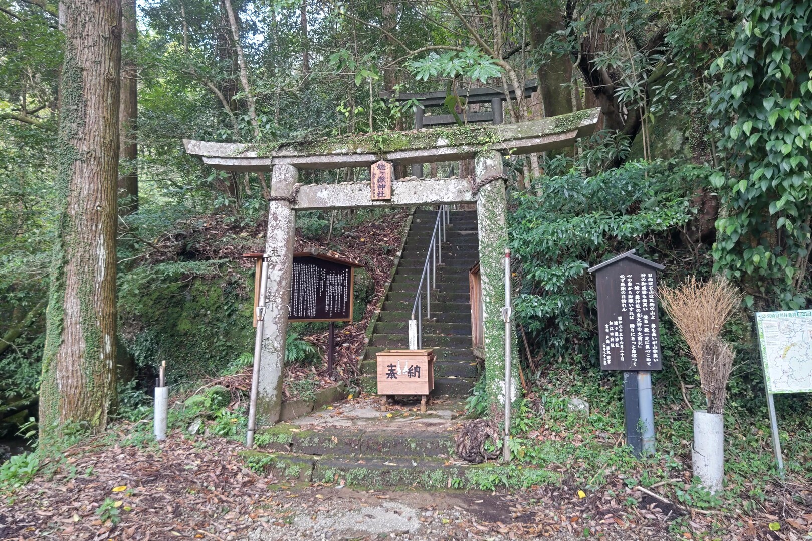 双石山 / Reoさんの双石山・花切山・岩壺山の活動データ | YAMAP / ヤマップ