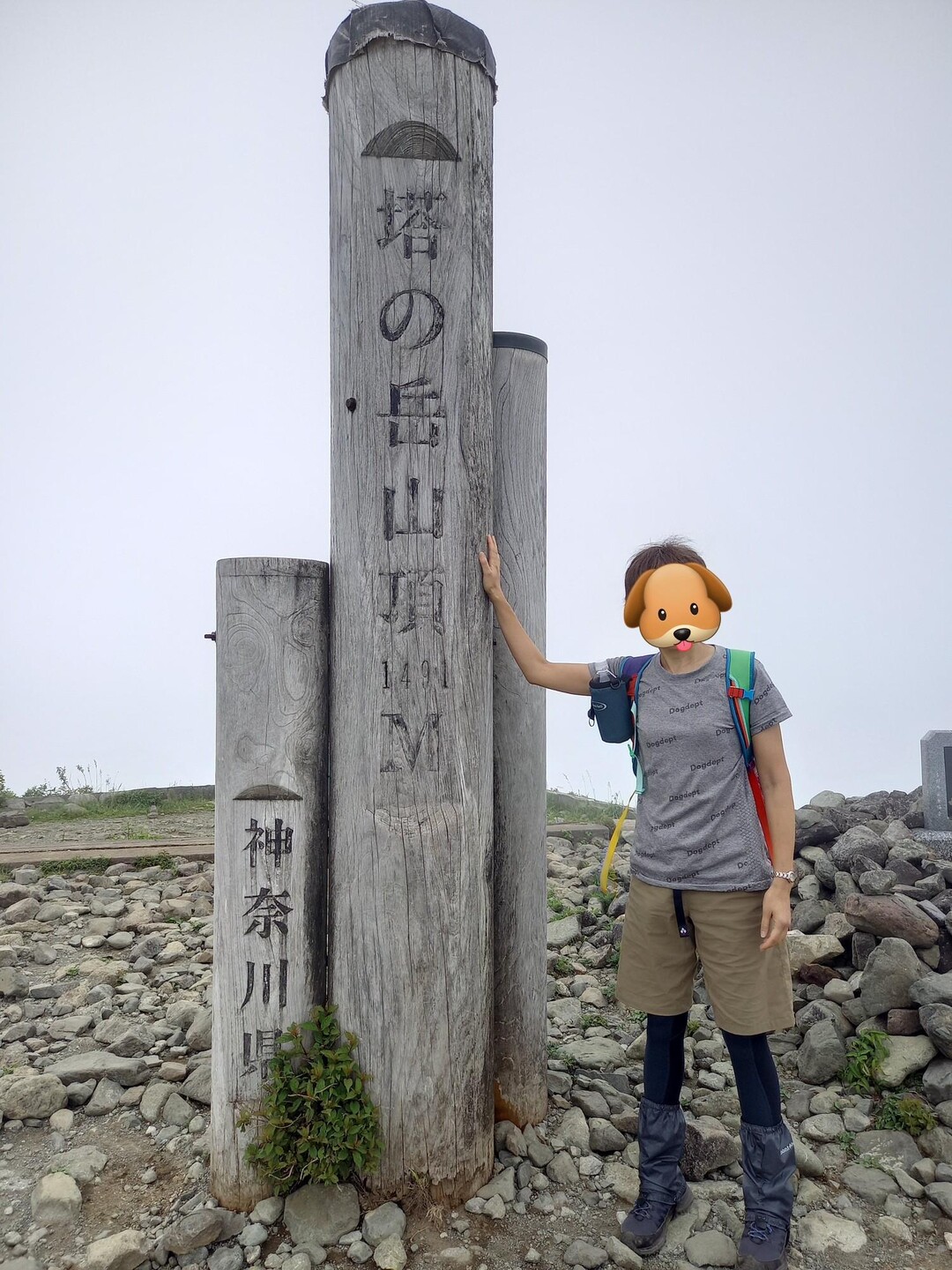 塔ノ岳 / ayakootaさんの塔ノ岳・丹沢山・蛭ヶ岳の活動データ | YAMAP / ヤマップ