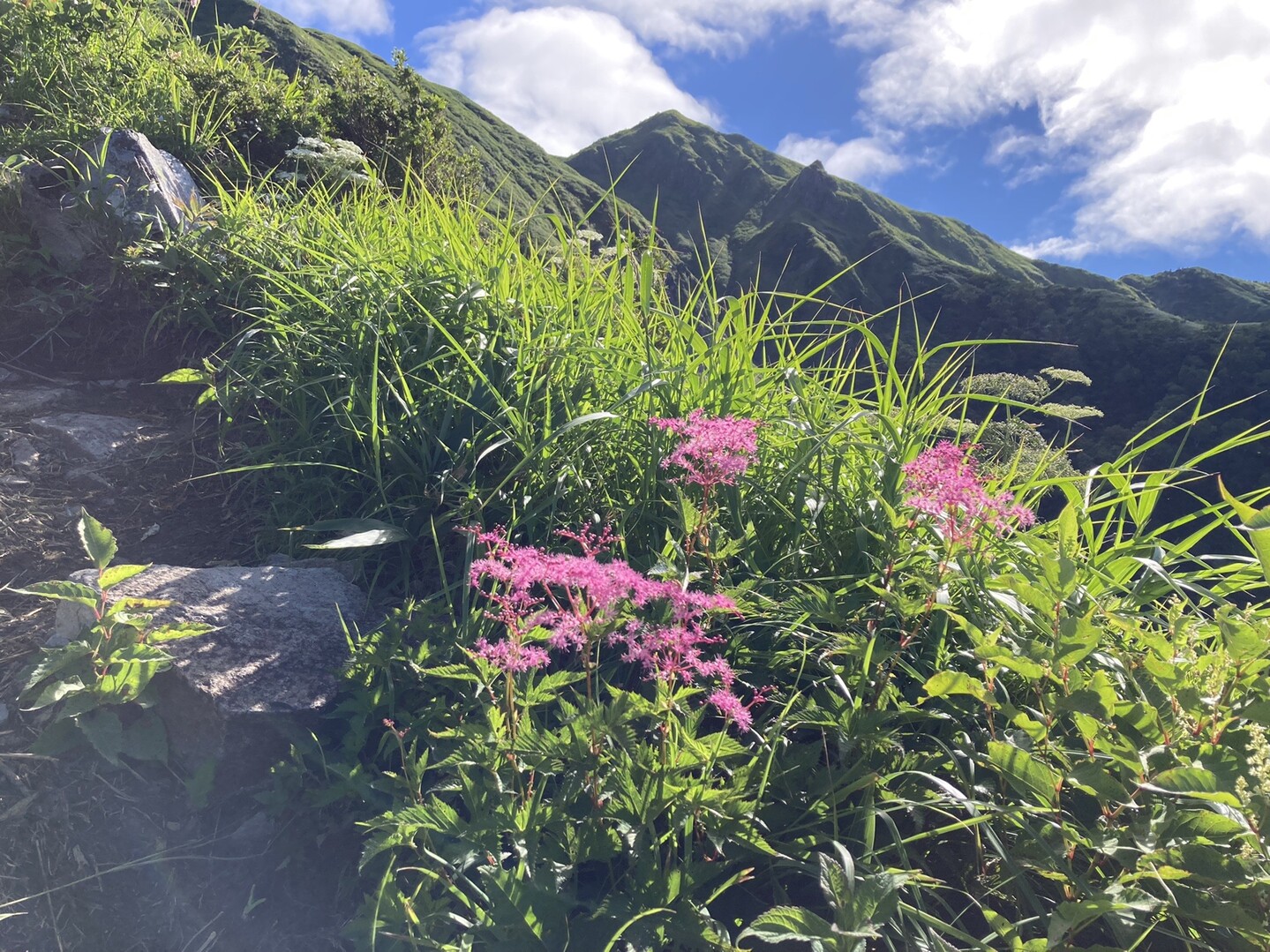 三ノ峰・別山 / BAKUさんの白山・別山・銚子ヶ峰の活動データ | YAMAP / ヤマップ
