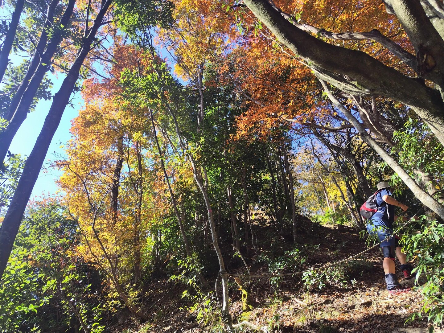城平山 / mipotさんの仏経山・高瀬山・大黒山の活動データ | YAMAP / ヤマップ