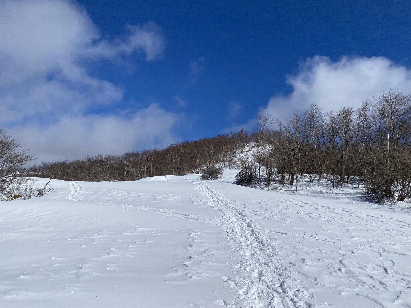 赤城小沼 長七郎山 スノーシューでスノーハイク / rabuさんの赤城山・黒檜山・荒山の活動日記 | YAMAP / ヤマップ