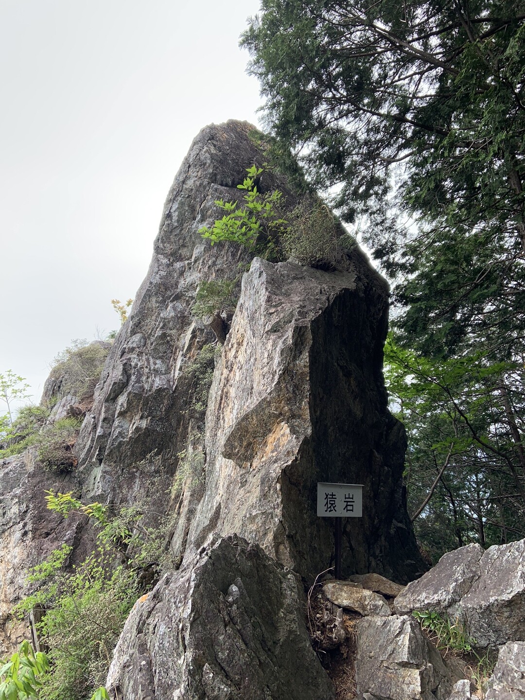 古賀志山・御嶽山・赤岩山・北ノ峯 / mini.TMKさんの古賀志山・赤岩山・鞍掛山・男抱山・半蔵山の活動データ | YAMAP / ヤマップ