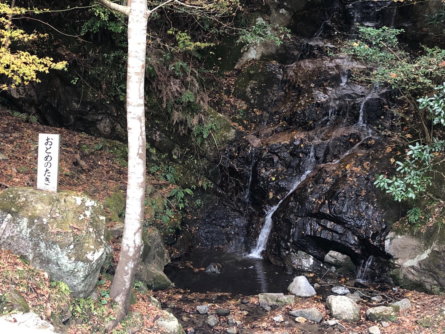 kcoさんの投稿したフィールドメモ | YAMAP / ヤマップ