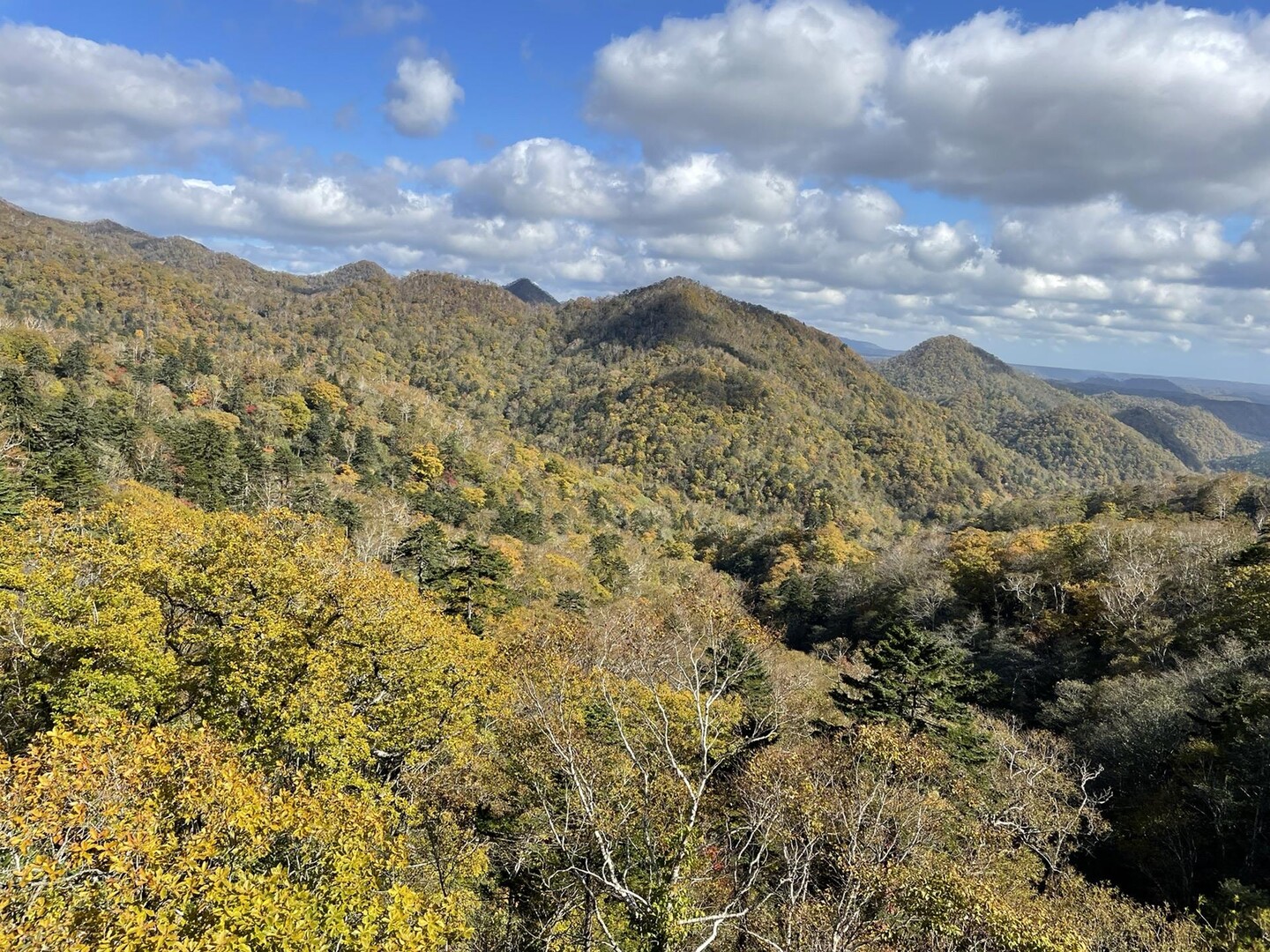 2022.10.14(金) 03:30 / ぶるさんのモーメント | YAMAP / ヤマップ