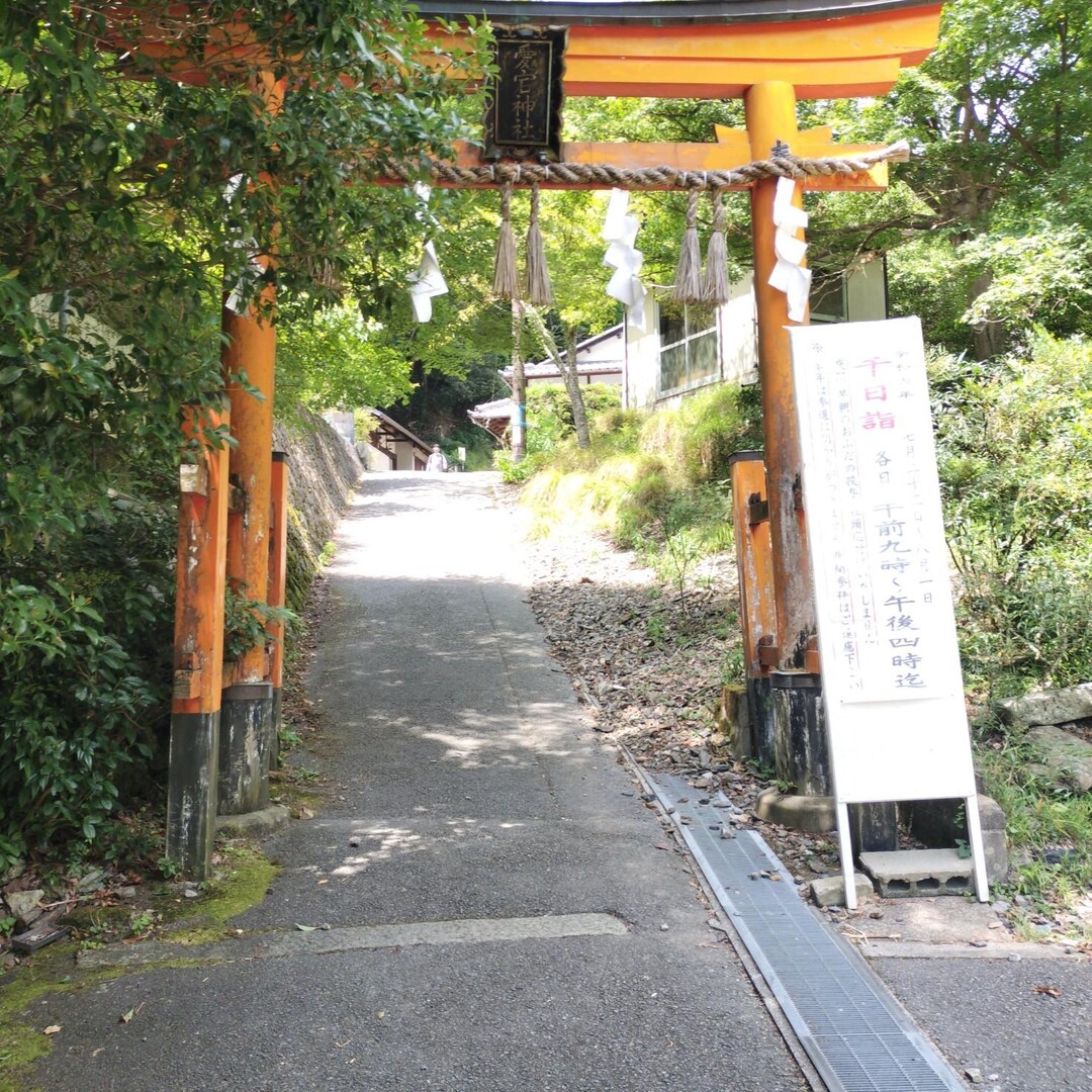 愛宕山 / nanoooさんの愛宕山・三頭山・朝日峯の活動日記 | YAMAP / ヤマップ
