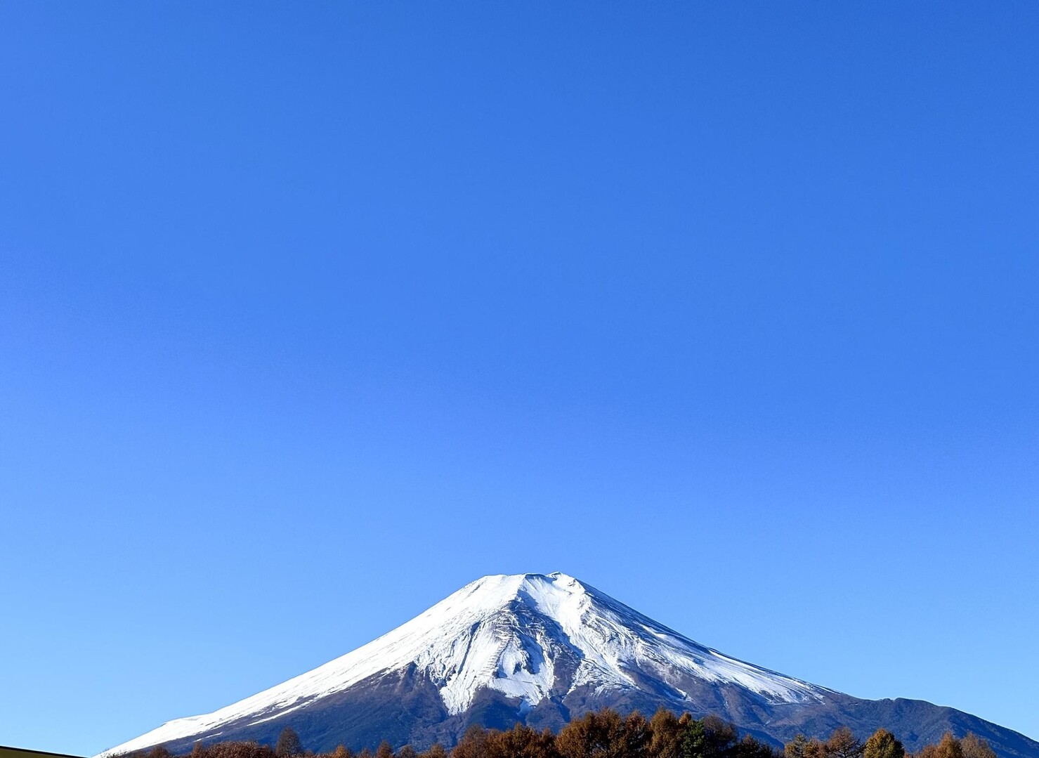 昨日登った八紘嶺からは、もうちょい？って... / Ichiroさんのモーメント | YAMAP / ヤマップ