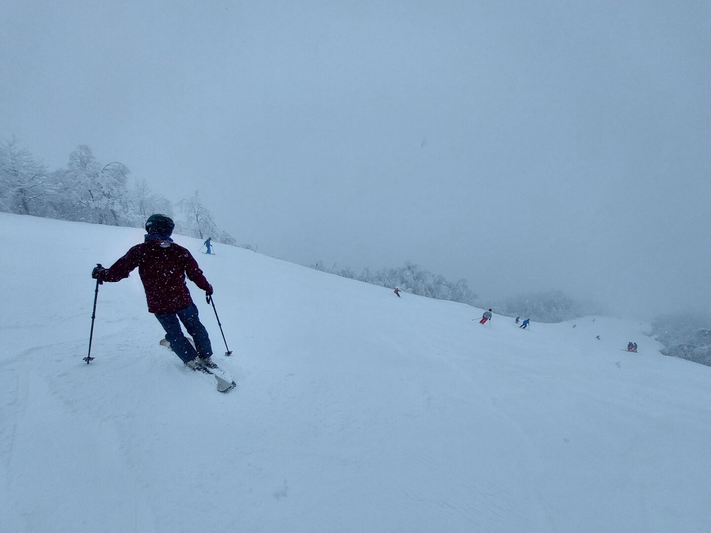 Hakuba47&白馬五竜スキー場⛷️ / はやぶさ64さんの鹿島槍ヶ岳・五竜岳（五龍岳）・唐松岳の活動データ | YAMAP / ヤマップ