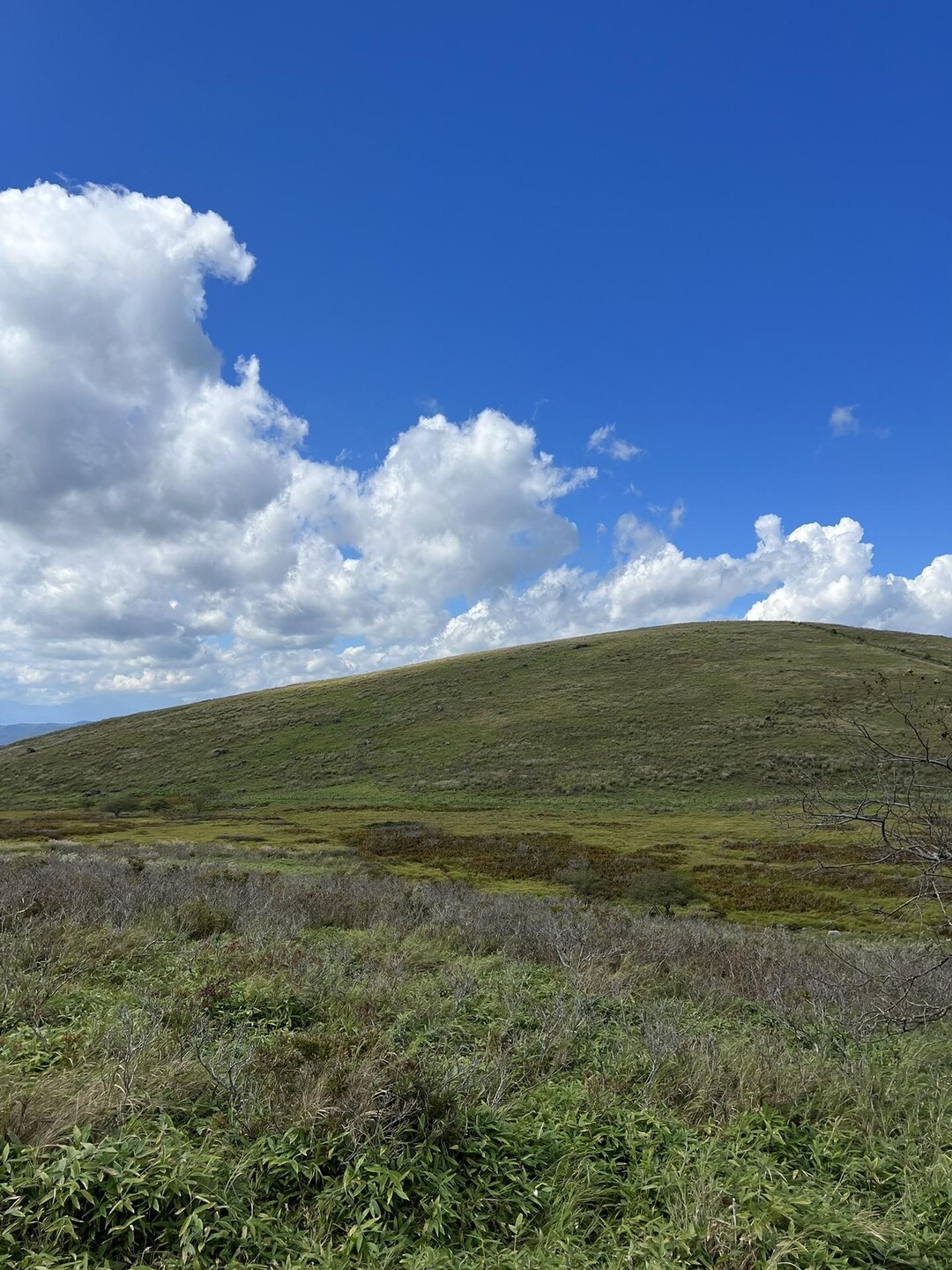 霧ヶ峰（車山） / jimさんの霧ヶ峰・車山・大笹峰の活動データ | YAMAP / ヤマップ
