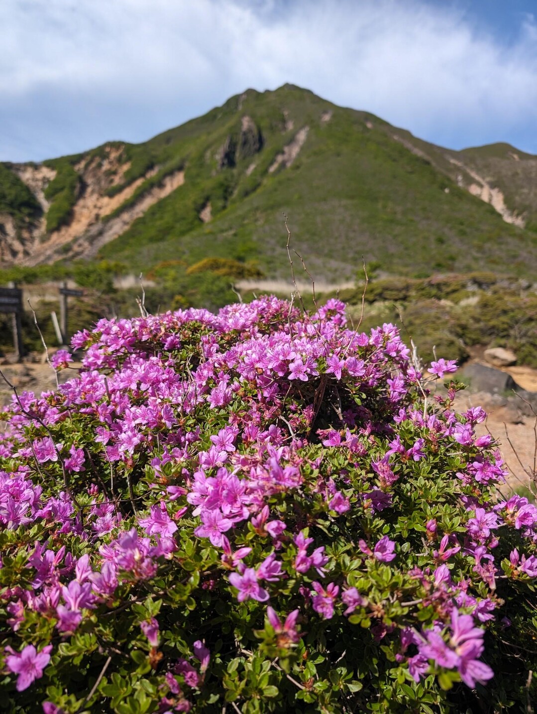 白口岳・中岳・久住山・沓掛山 / ショコラmiwaさんの九重山（久住山）・大船山・星生山の活動データ | YAMAP / ヤマップ