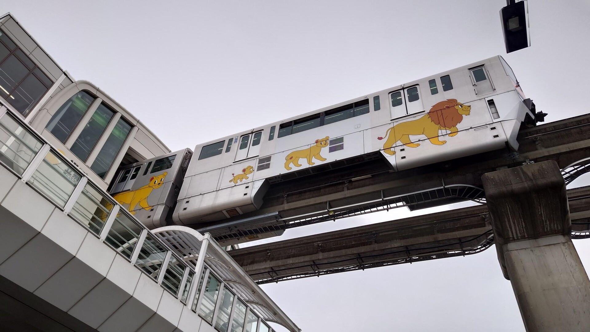 WBC優勝わっしょーい🎊 （仕事中気が... / なちたさんのモーメント | YAMAP / ヤマップ