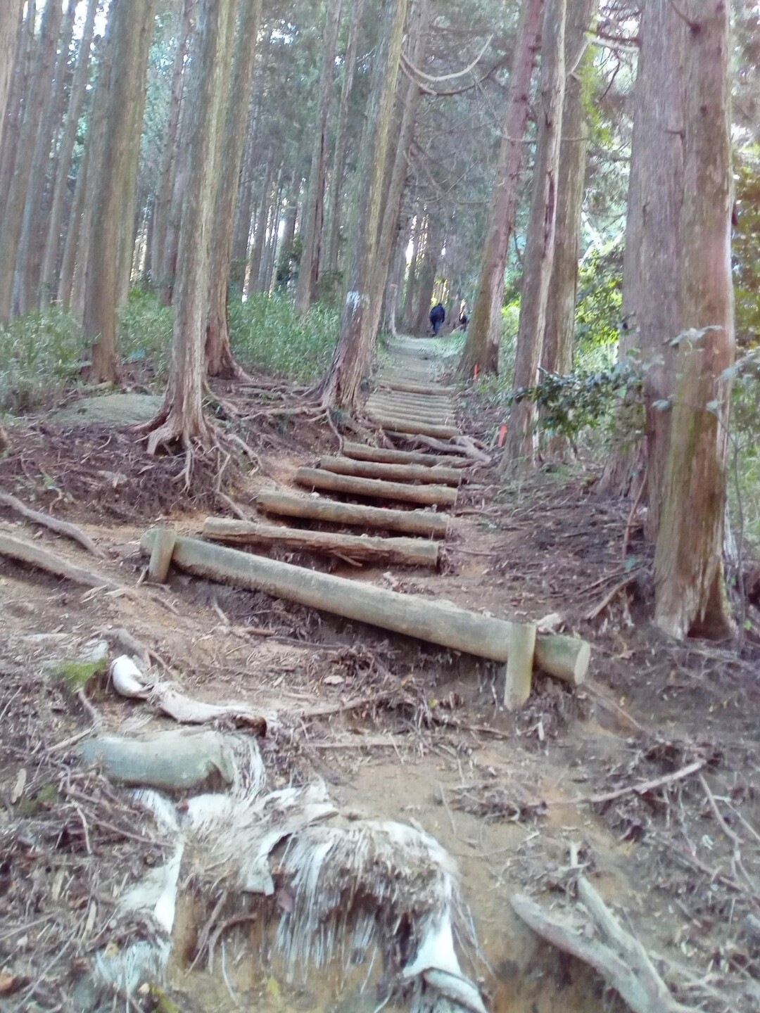 第13回ダイヤモンドトレイルラン / katsuさんの金剛山・二上山・大和葛城山の活動データ | YAMAP / ヤマップ