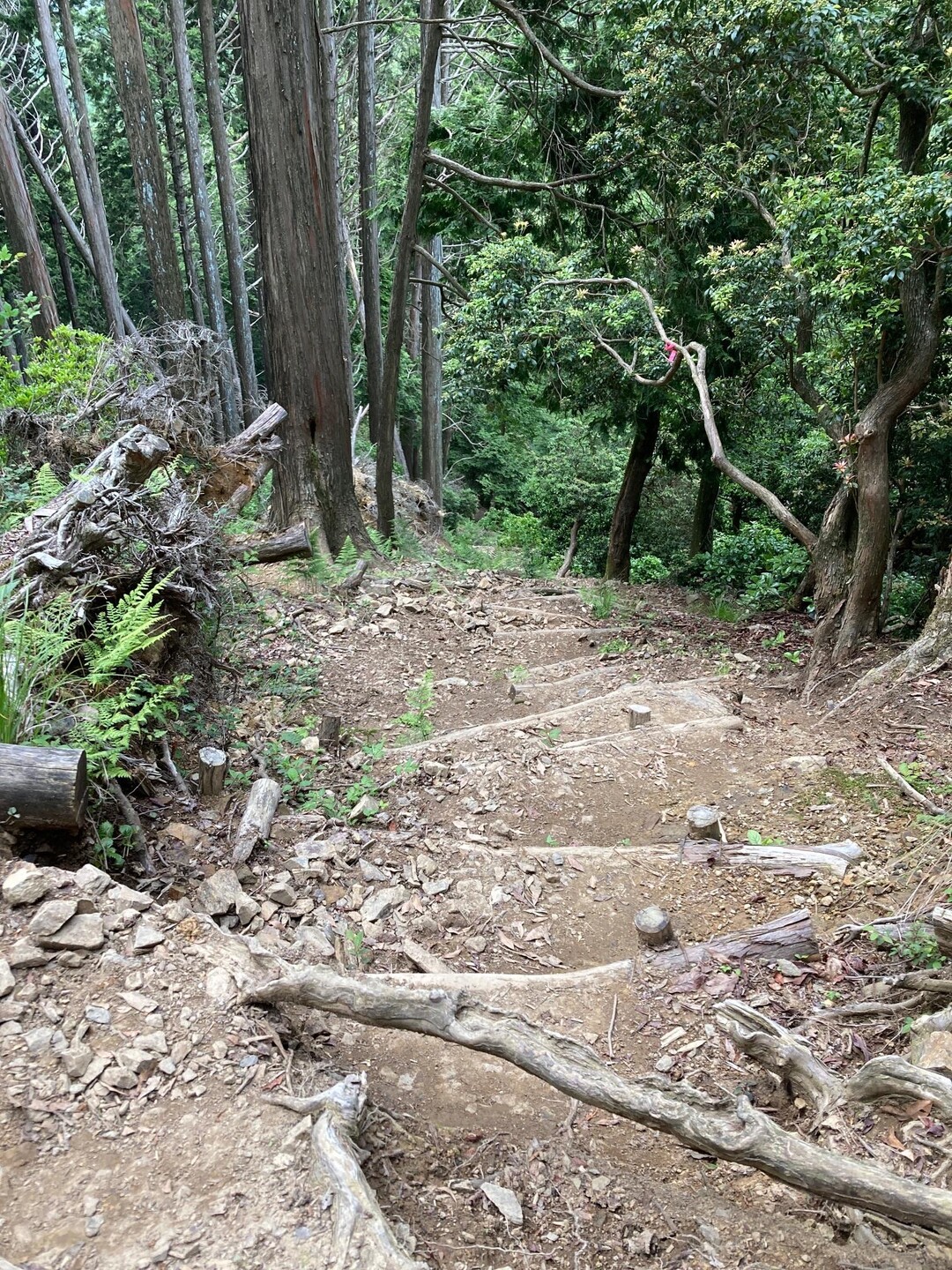 K.KAIさんの投稿したフィールドメモ | YAMAP / ヤマップ