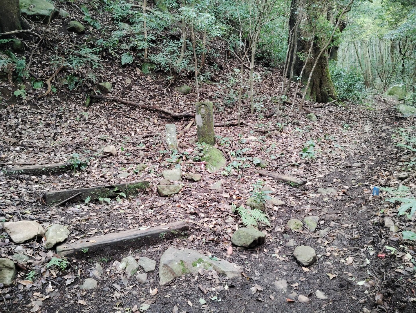 kuma3016さんの投稿したフィールドメモ | YAMAP / ヤマップ