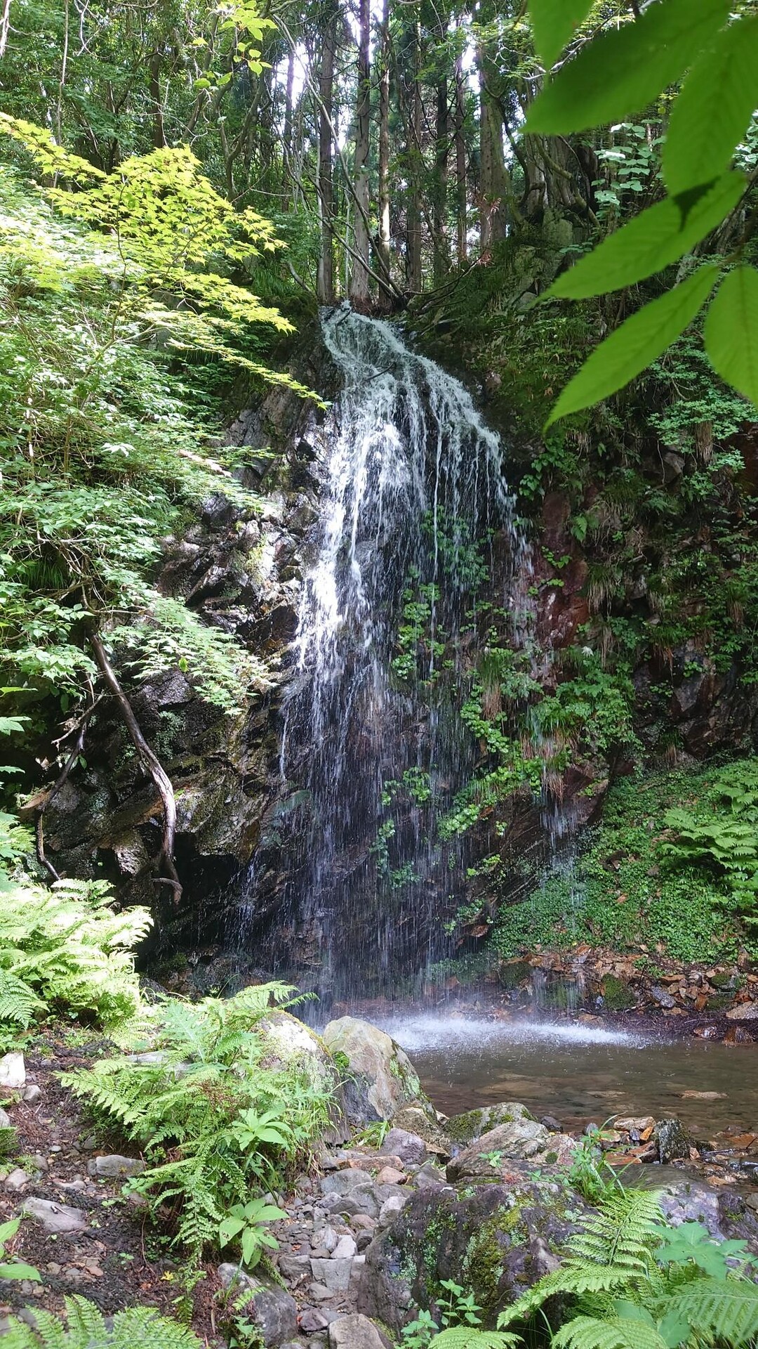 blackmoreさんの投稿したフィールドメモ | YAMAP / ヤマップ