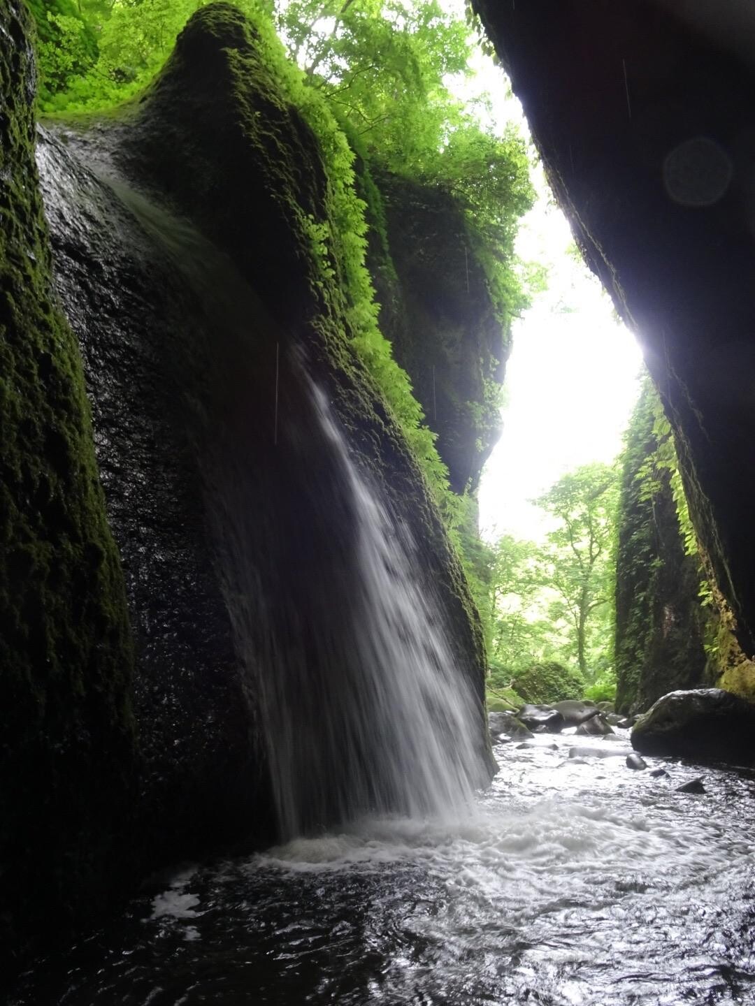 扇ノ山-2023-07-15 / komugi🌾 さんの扇ノ山の活動データ | YAMAP / ヤマップ