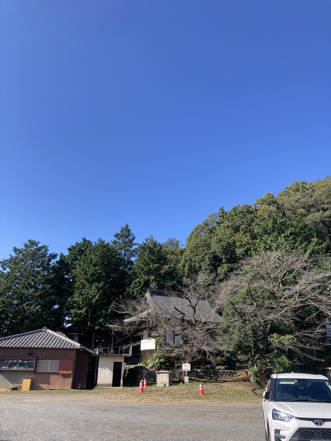 鐘撞堂山 / kawaさんのウォーキングの活動データ | YAMAP / ヤマップ